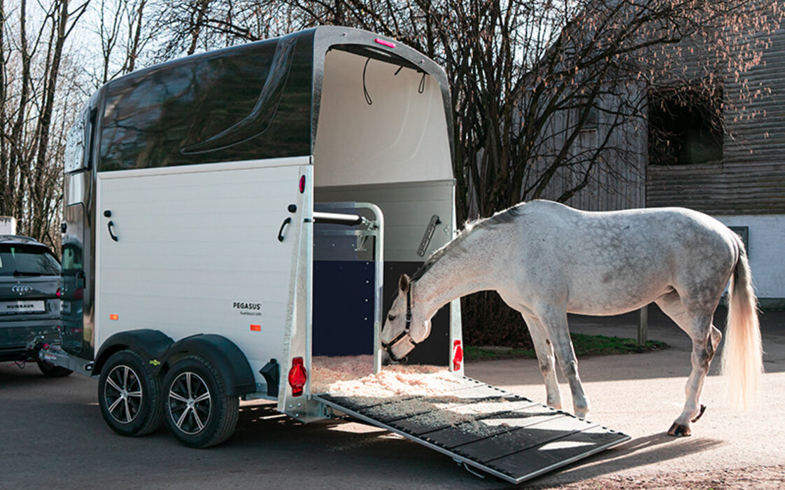 Humbaur | Pferdeanhänger der Premiumklasse von Humbaur – PEGASUS 2400, 2700 und 2700 S